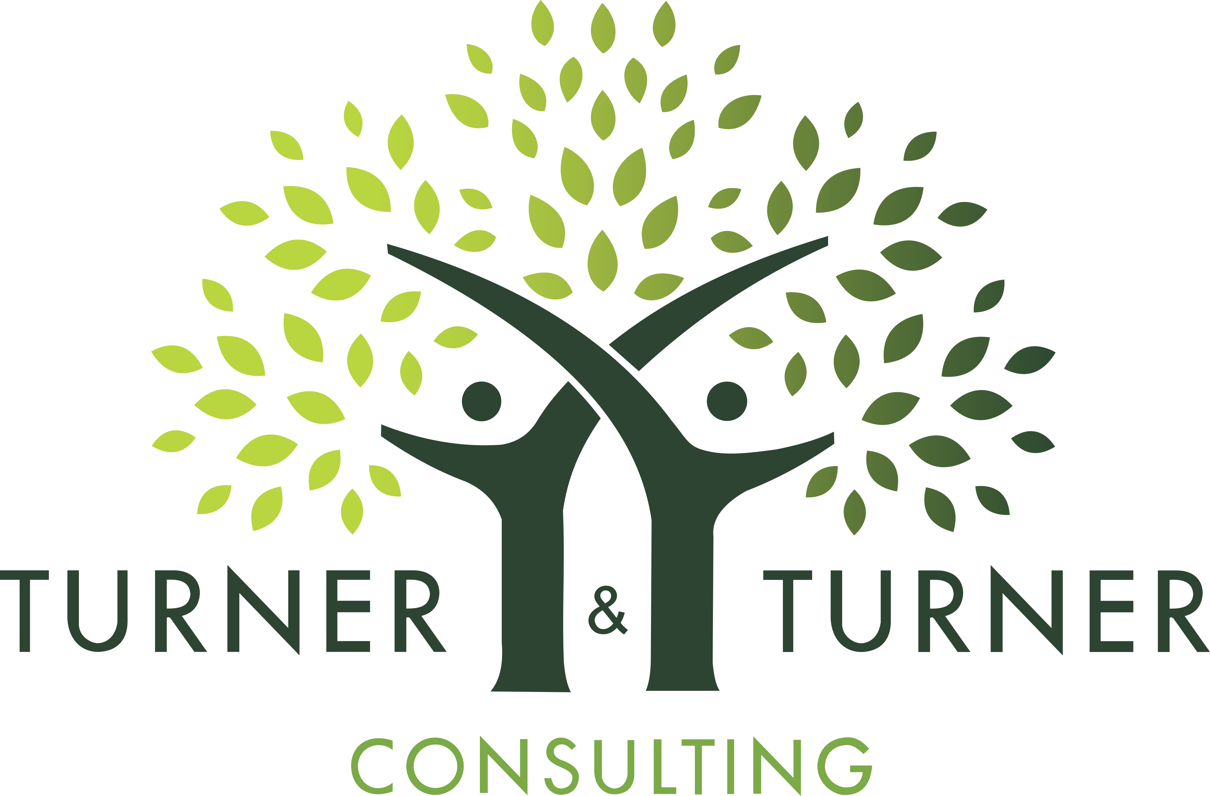 Maintenance Call - Turner and Turner Consulting (Pty) Ltd